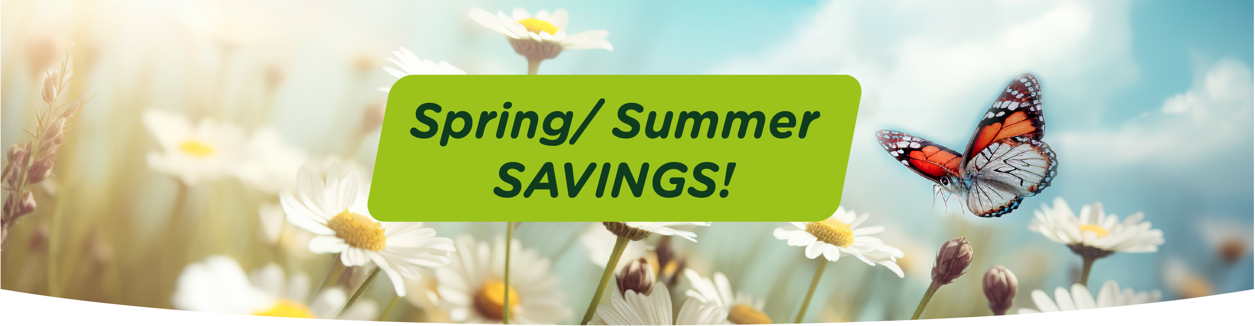 Special Offers | Daisy Business Solutions