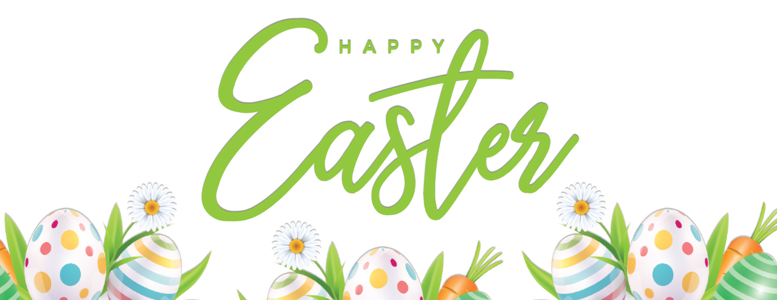 Special Offers | Daisy Business Solutions